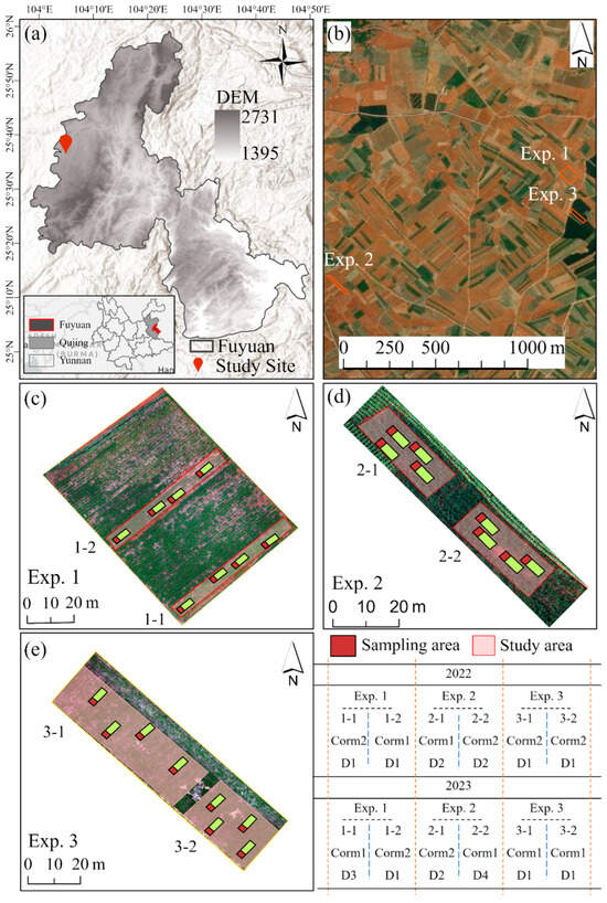 Estimation of Amorphophallus Konjac Above-Ground Biomass by Integrating ...