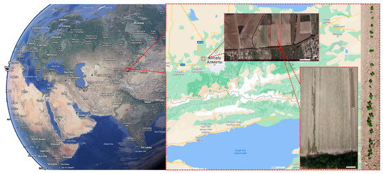 Fast Detection of Plants in Soybean Fields Using UAVs, YOLOv8x Framework, and Image Segmentation