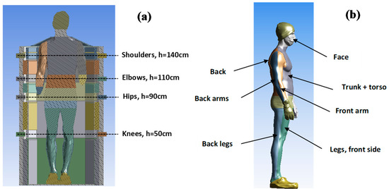 Dynamics | An Open Access Journal from MDPI