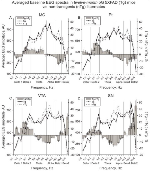 Dynamics | An Open Access Journal from MDPI