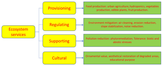 The Contribution of Ornamental Plants to Urban Ecosystem Services