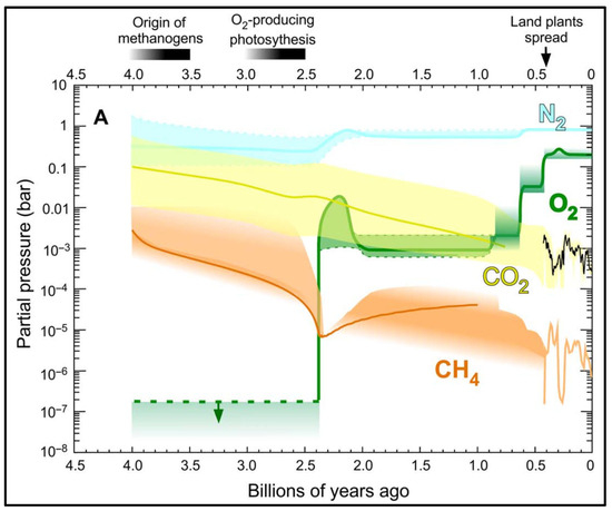 Biological Carbon Sequestration: From Deep History to the Present Day