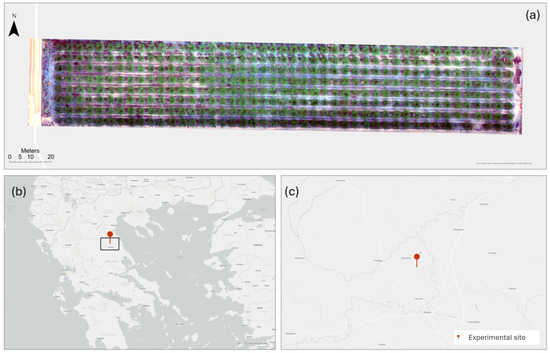 Combining Low-Cost UAV Imagery with Machine Learning Classifiers for ...