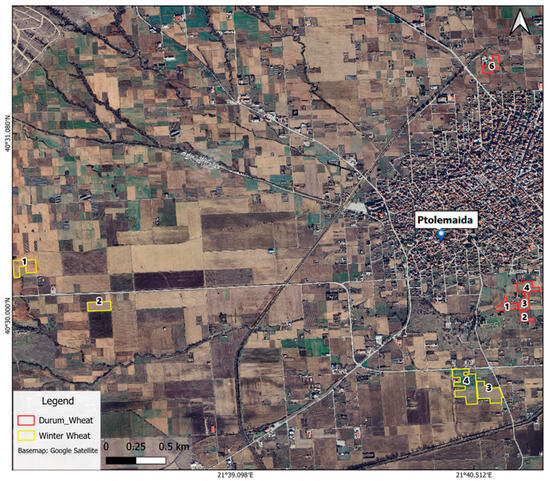 A Python Framework for Crop Yield Estimation Using Sentinel-2 Satellite Data