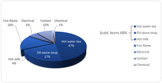European Burn Journal | An Open Access Journal from MDPI