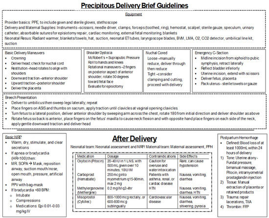 Approach to Precipitous Delivery in the Emergency Department: Best ...