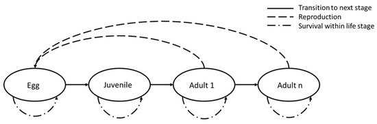Ecologies | An Open Access Journal from MDPI