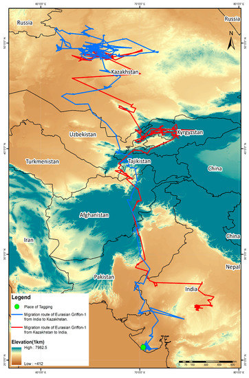 Home Range, Movement and Activity Patterns of Six vulture Species Using ...