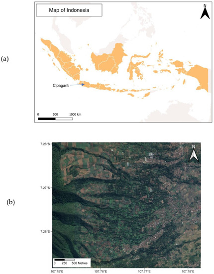 Goal-Directed Travel in the Nocturnal Javan Slow Loris (Nycticebus ...