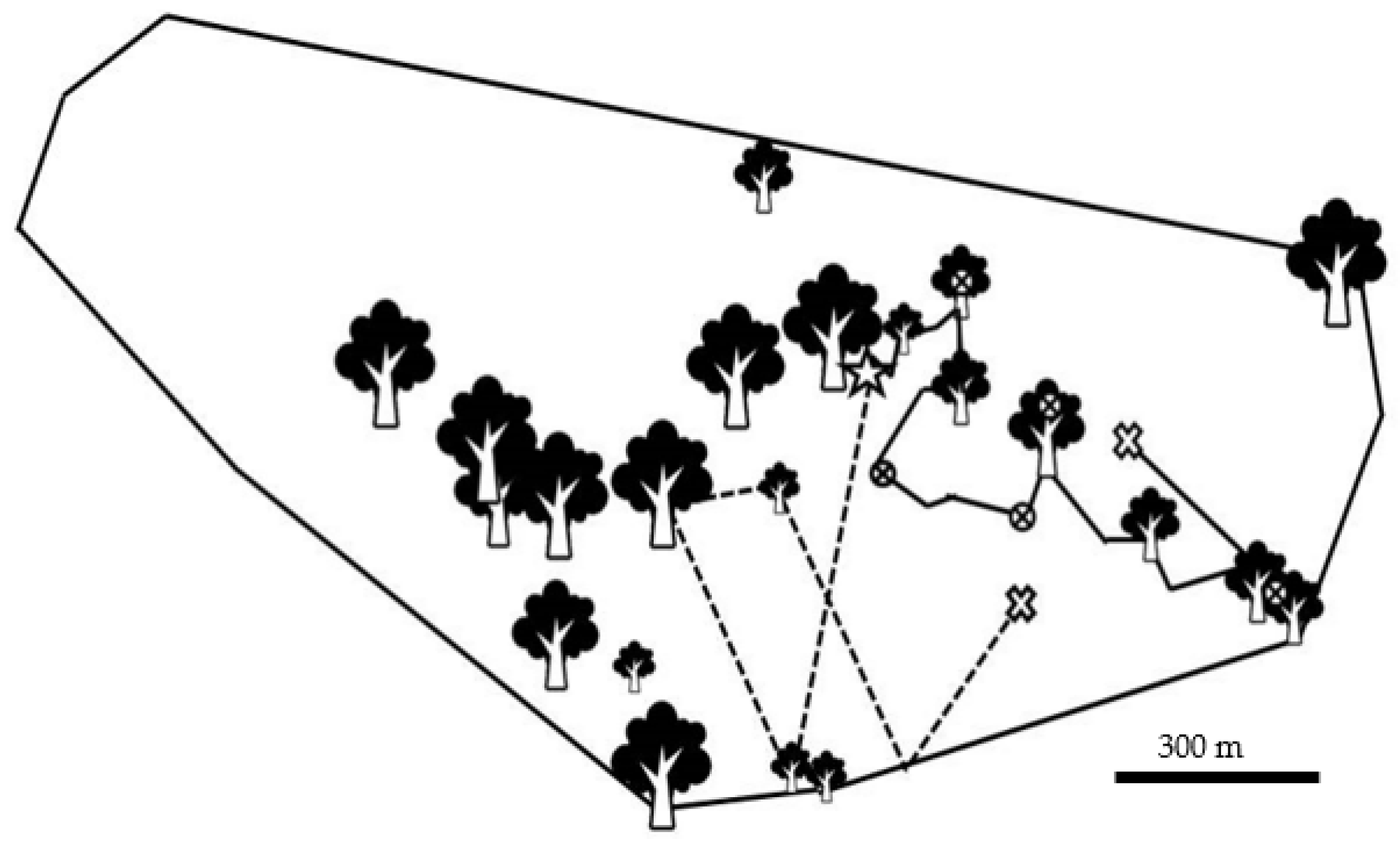 Goal-Directed Travel in the Nocturnal Javan Slow Loris (Nycticebus ...