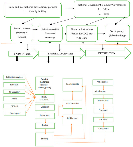 Peanut Value Chain Development: The Case of Lower Lake Victoria Basin ...