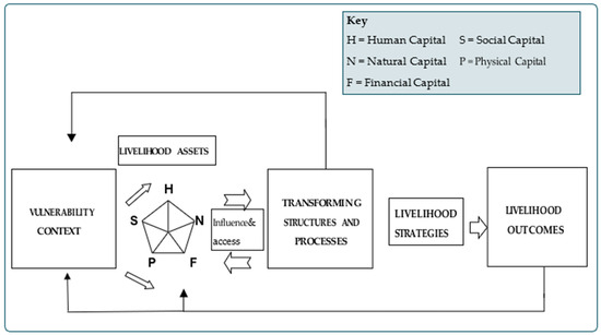 Access to Livelihood Assets and Vulnerability to Lower Levels of Well ...