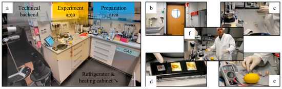 Digital Experiments in Higher Education—A “How to” and “How It Went ...