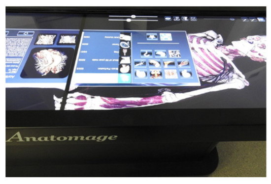 Facilitating Student Understanding through Incorporating Digital Images ...