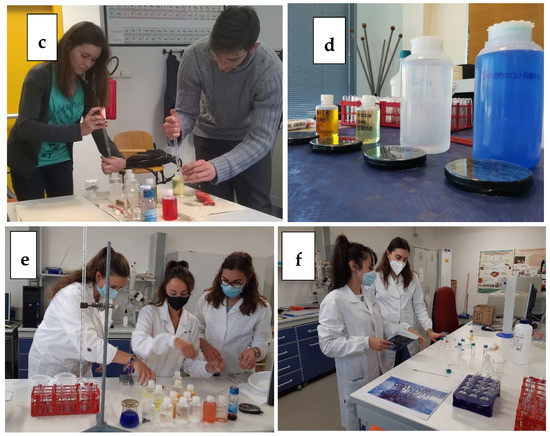 STEAM Project-Based Learning Activities at the Science Museum as an ...