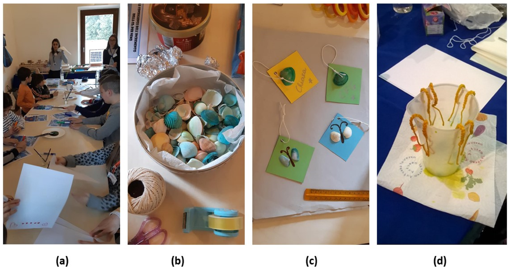 STEAM Project-Based Learning Activities at the Science Museum as an ...