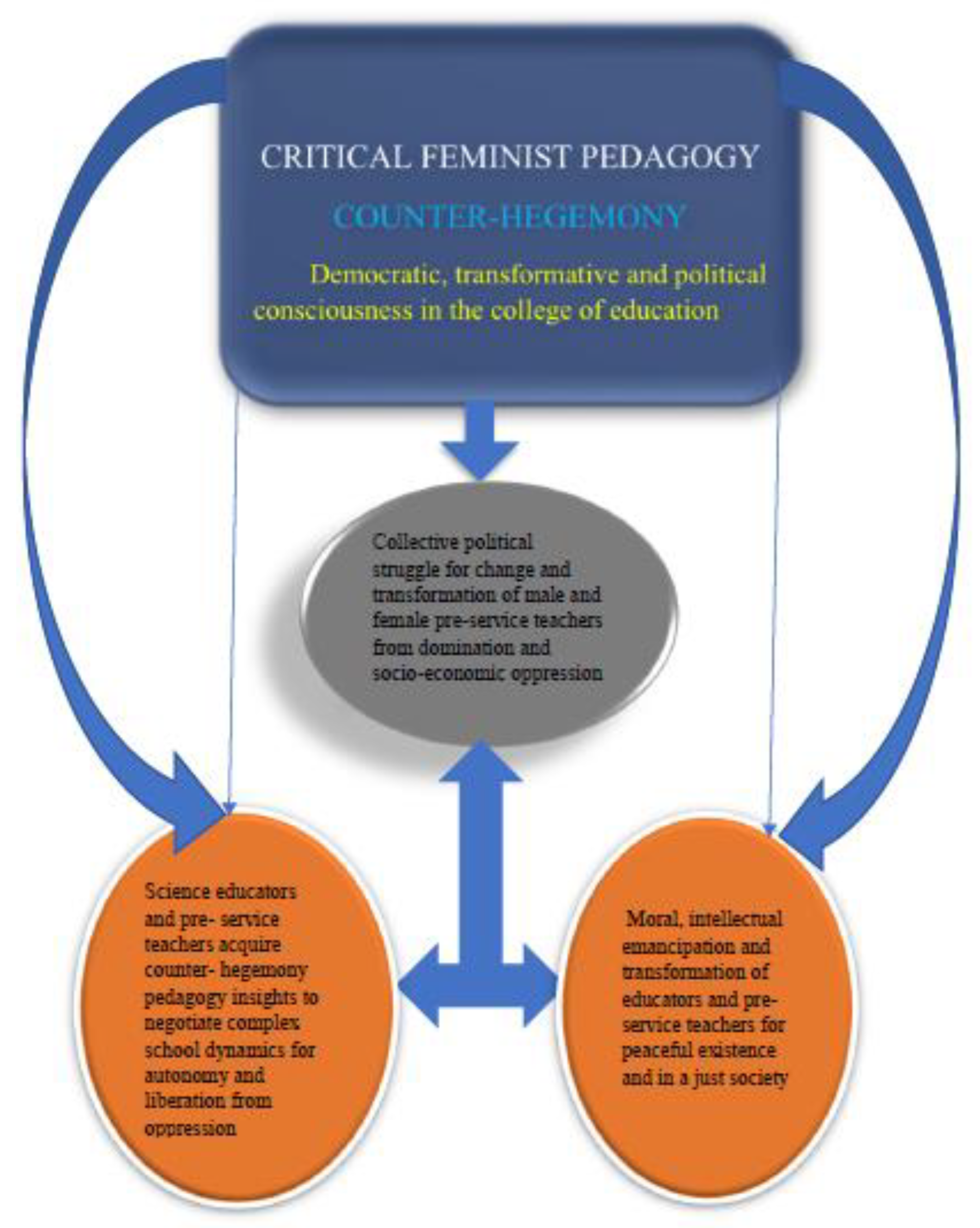 Education Sciences Free Full Text Cultural Production Reproduction