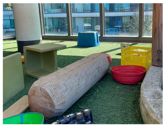 Rewilding Play: Design Build Interventions
