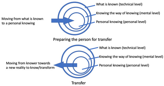 Achieving Transfer from Mathematics Learning
