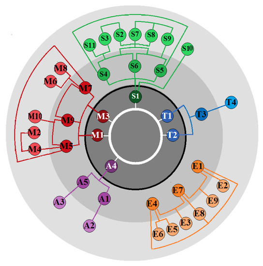 Education Sciences | Free Full-Text | A Novel Methodology to Develop ...