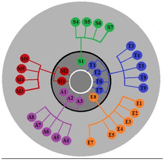 Education Sciences | Free Full-Text | A Novel Methodology to Develop ...