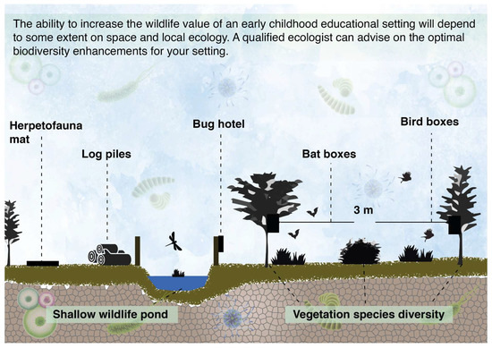 Optimising Early Childhood Educational Settings for Health Using Nature ...