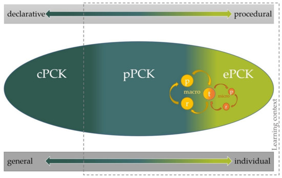 Using Video-Based Simulations to Foster pPCK/ePCK—New Thoughts on the ...