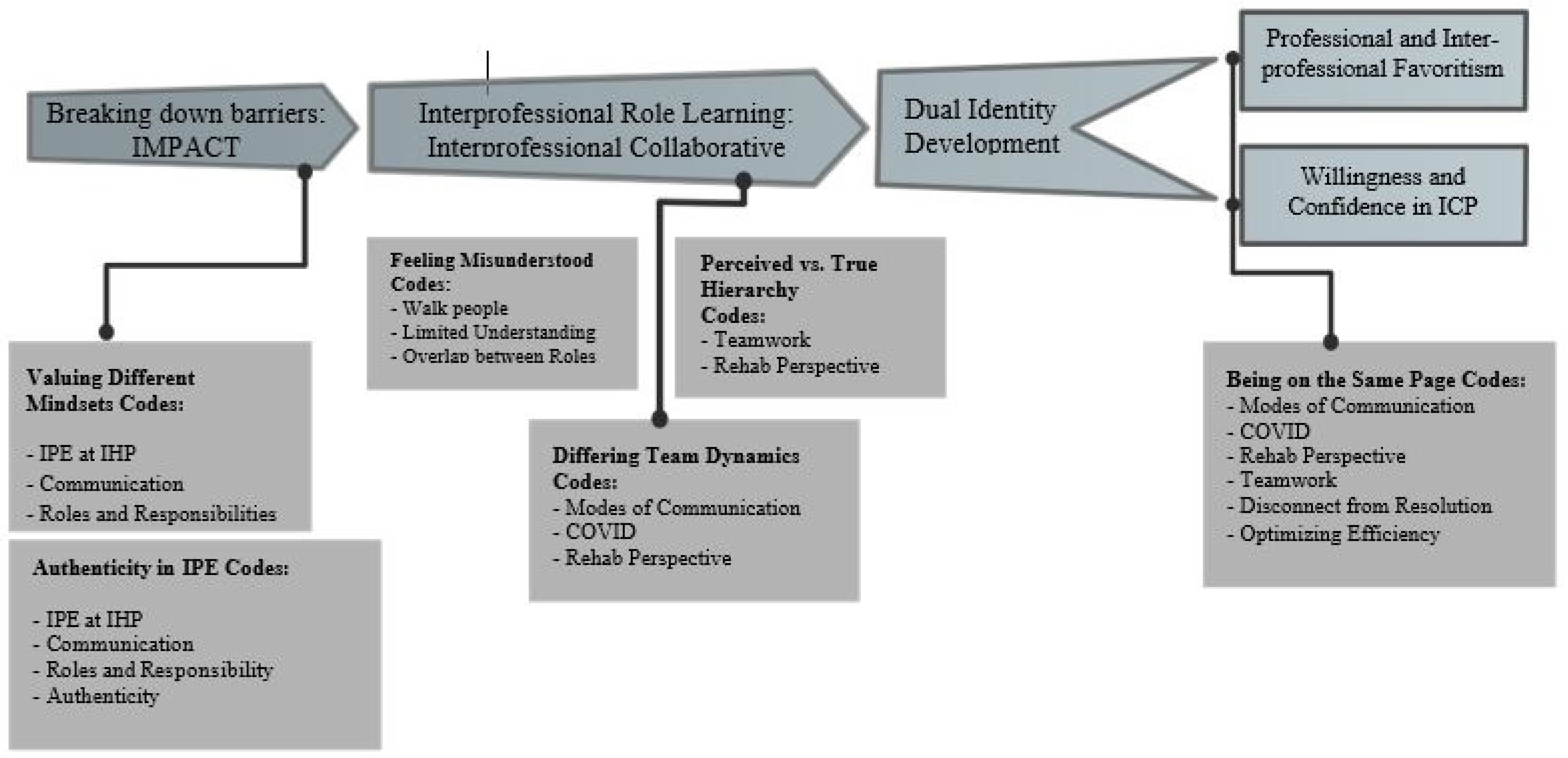 Perceptions of Interprofessional Identity Formation in Recent Doctor of ...