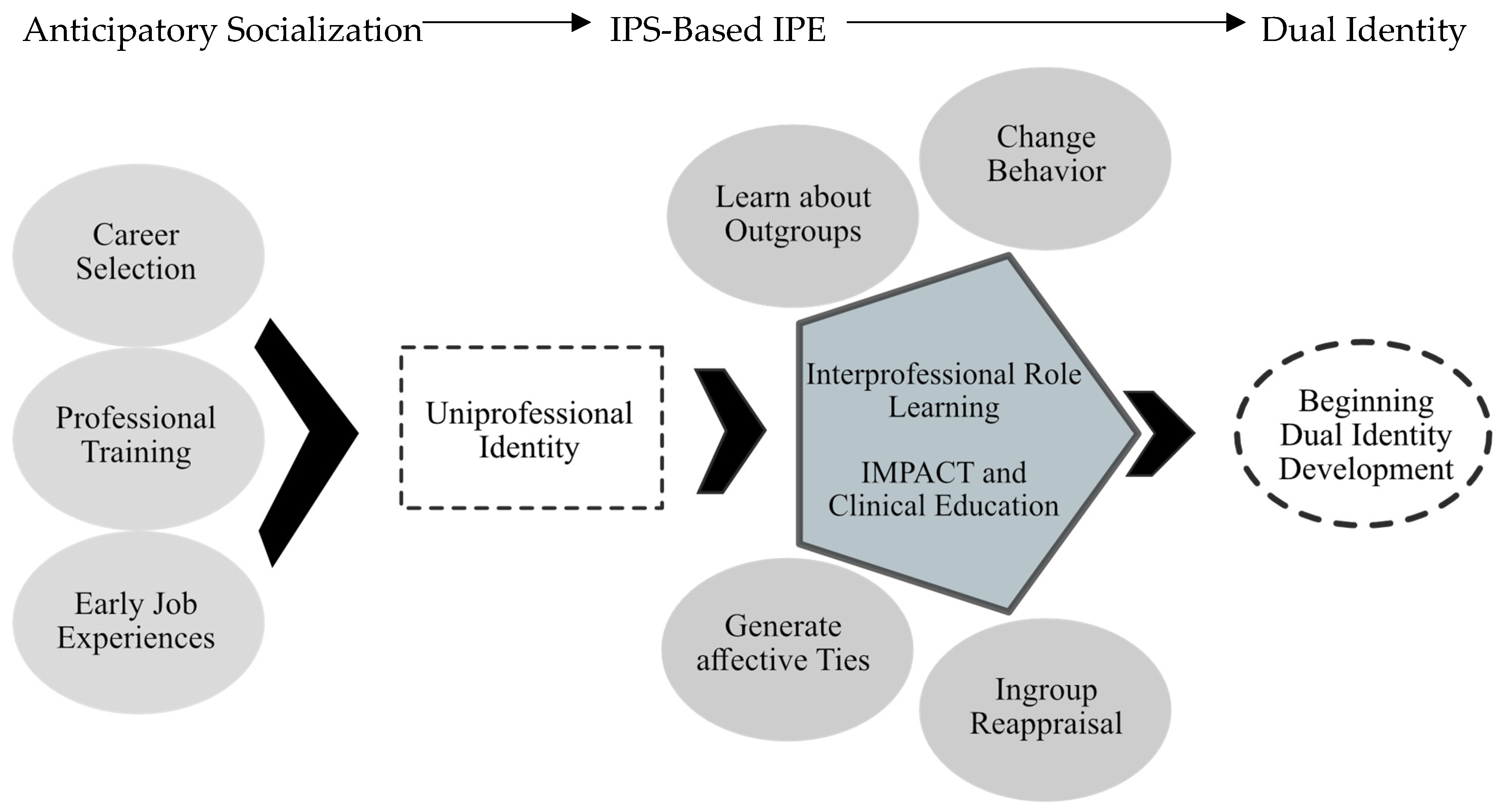 Perceptions of Interprofessional Identity Formation in Recent Doctor of ...