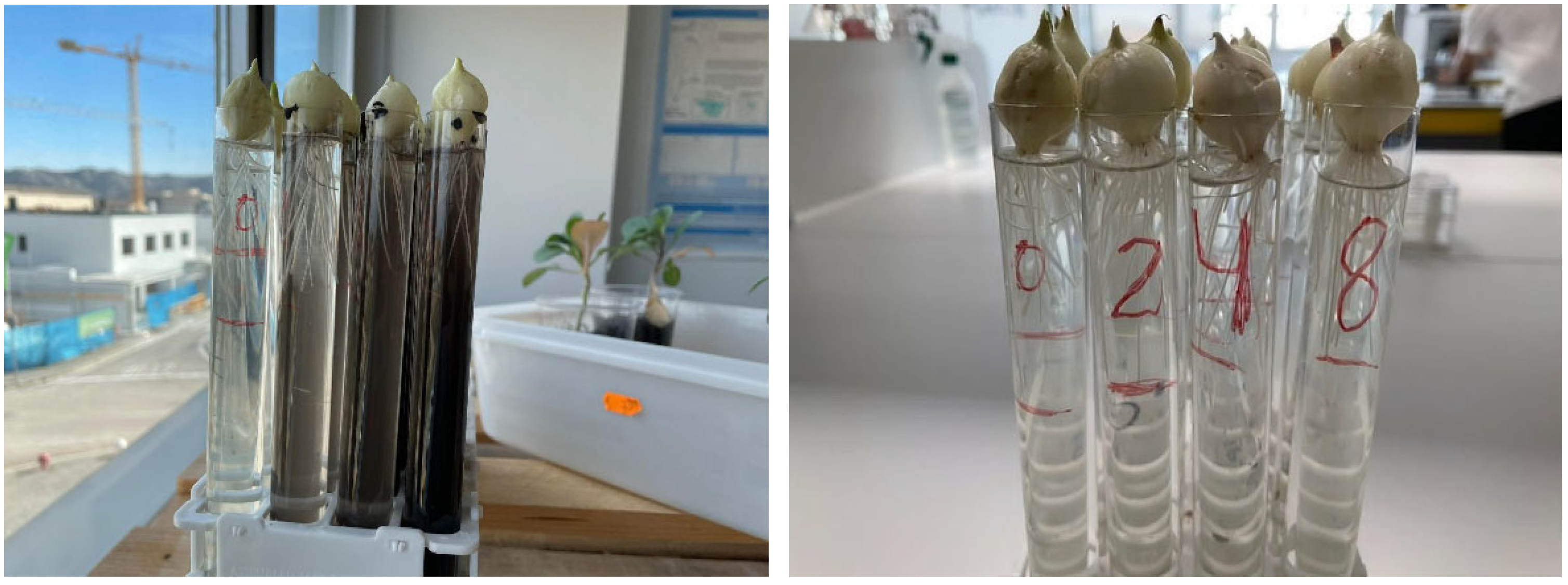 Science Skills Development through Problem-Based Learning in Secondary Education