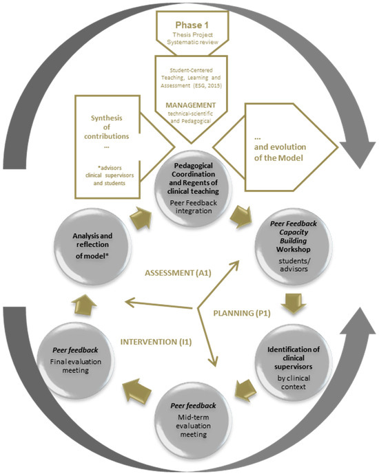 Peer Feedback: Model for the Assessment and Development of ...