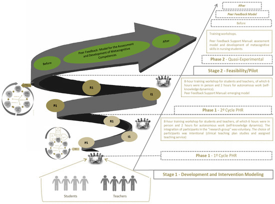 Peer Feedback: Model for the Assessment and Development of ...