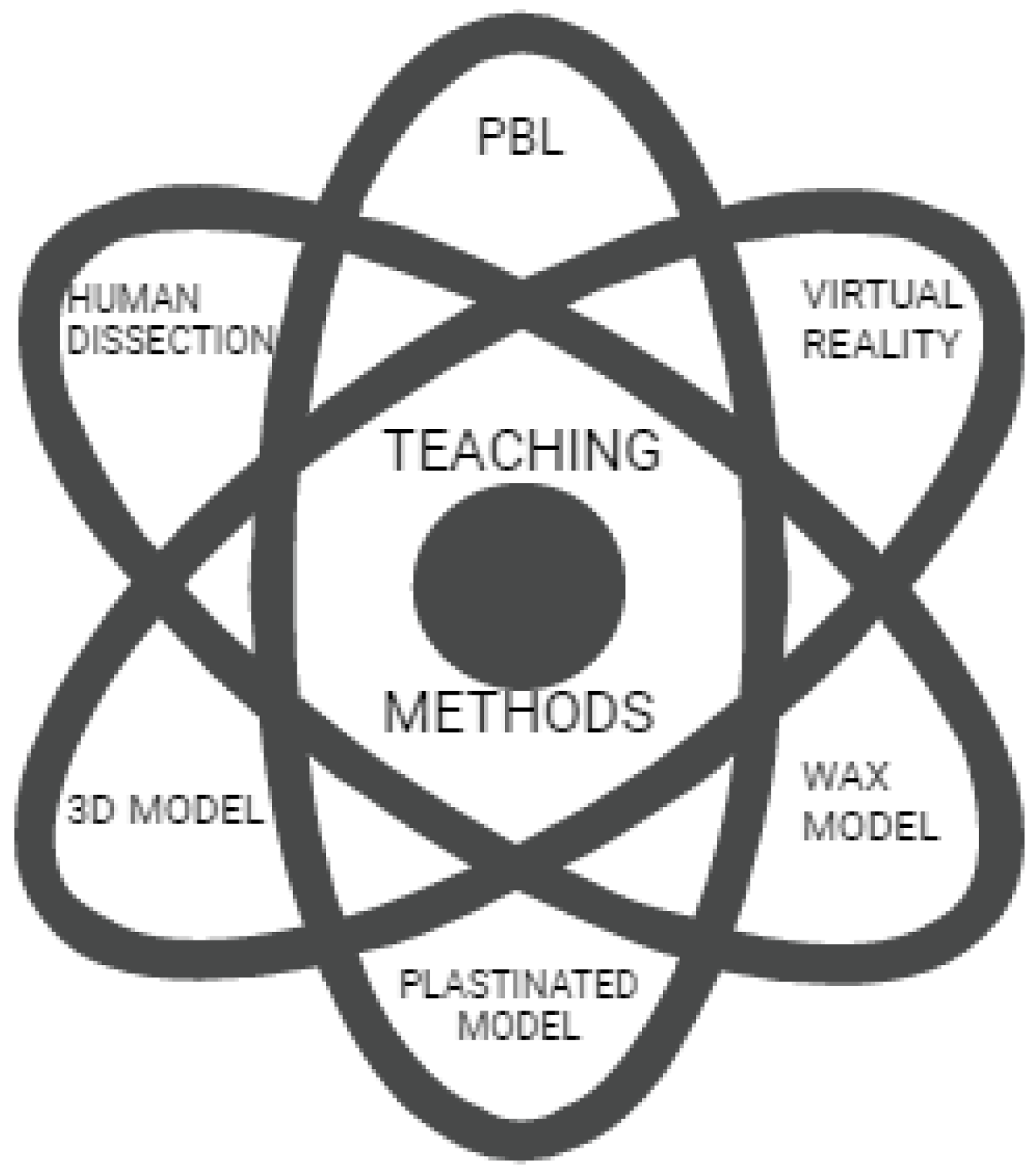 Blending Tradition and Innovation: Student Opinions on Modern Anatomy ...