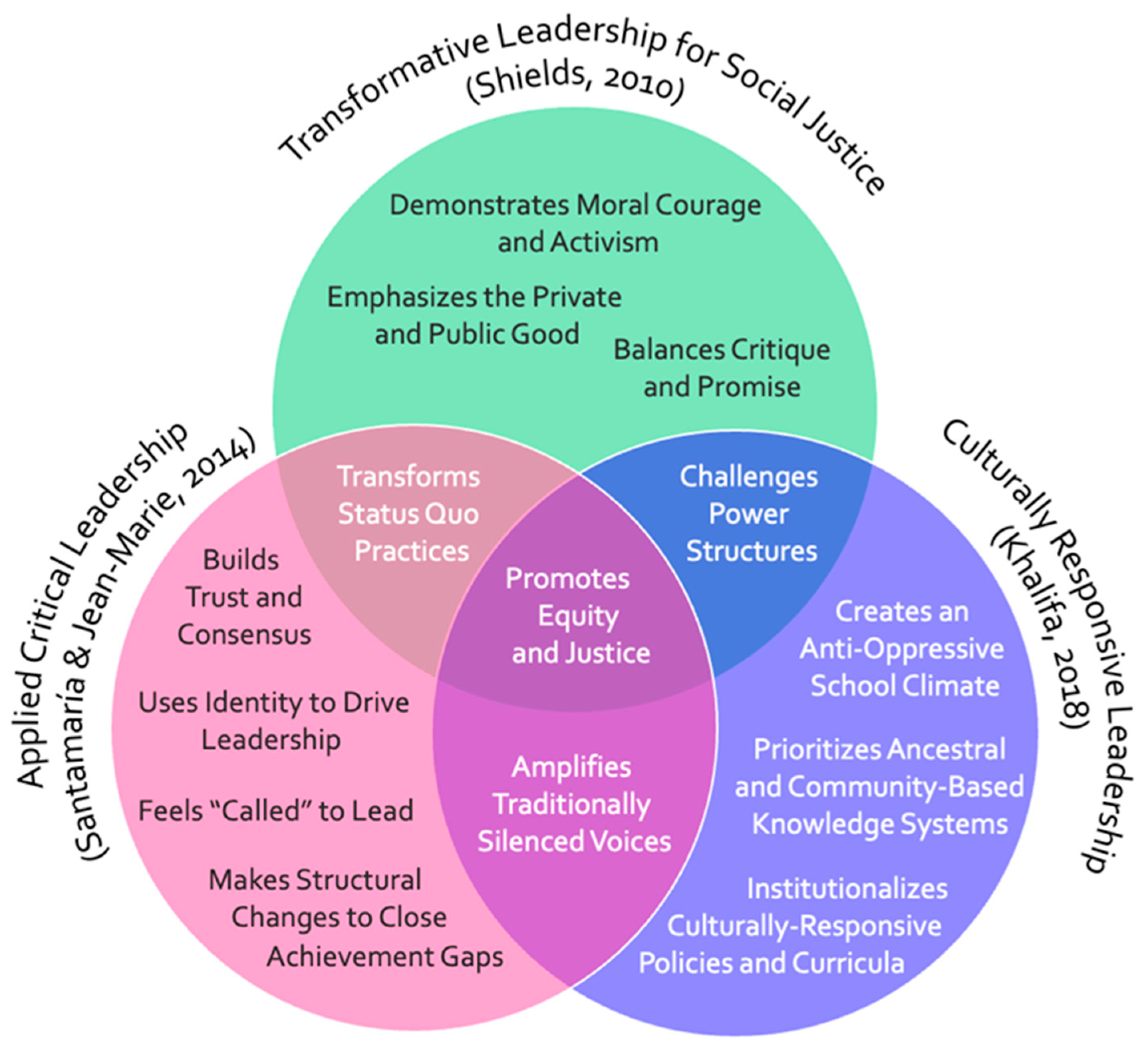 Leveraging a Candidate Assessment System to Develop an Equity-Centered ...