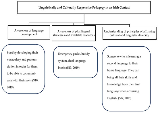 Preparing for Multilingual Classrooms in Ireland: What Do Student ...