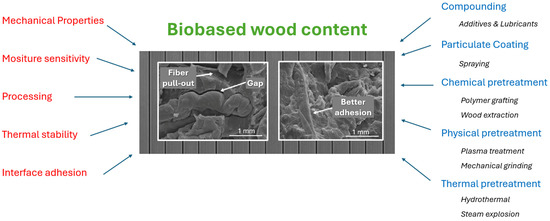 Challenges for Wood–Plastic Composites: Increasing Wood Content and ...
