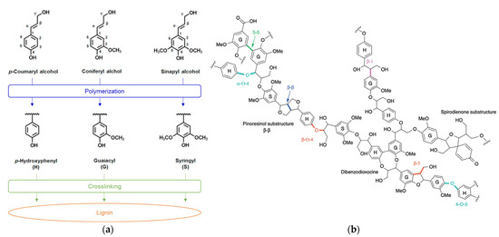 A Brief Overview of Lignin Extraction and Isolation Processes: From ...