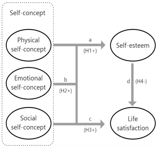 EJIHPE | Free Full-Text | Self-Concept and Self-Esteem, Determinants of ...