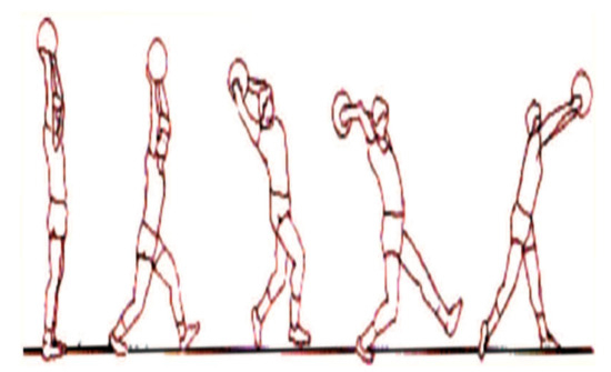 The Impact of Core Complex Training on Some Basketball-Related Aspects ...