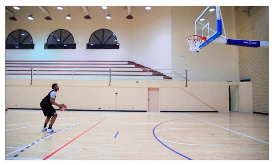 The Impact of Core Complex Training on Some Basketball-Related Aspects ...