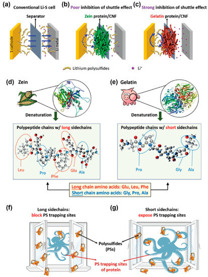 Electrochem | An Open Access Journal from MDPI