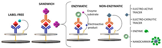 Nanostructure-Based Electrochemical Immunosensors as Diagnostic Tools
