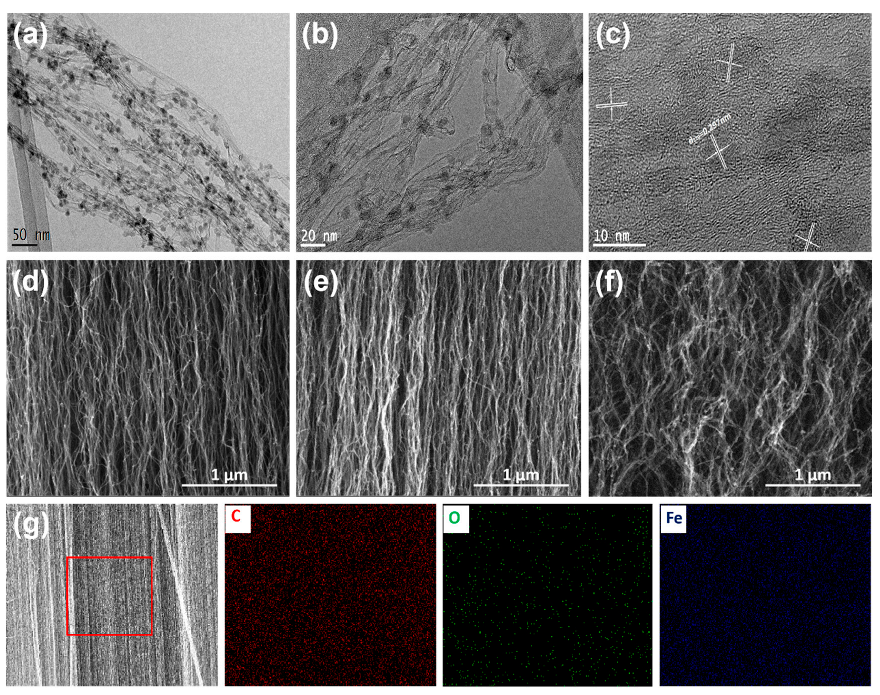 Three-Dimensional Hybrid Nanostructures of Fe3O4 Nanoparticles/Vertically-Aligned Carbon ...