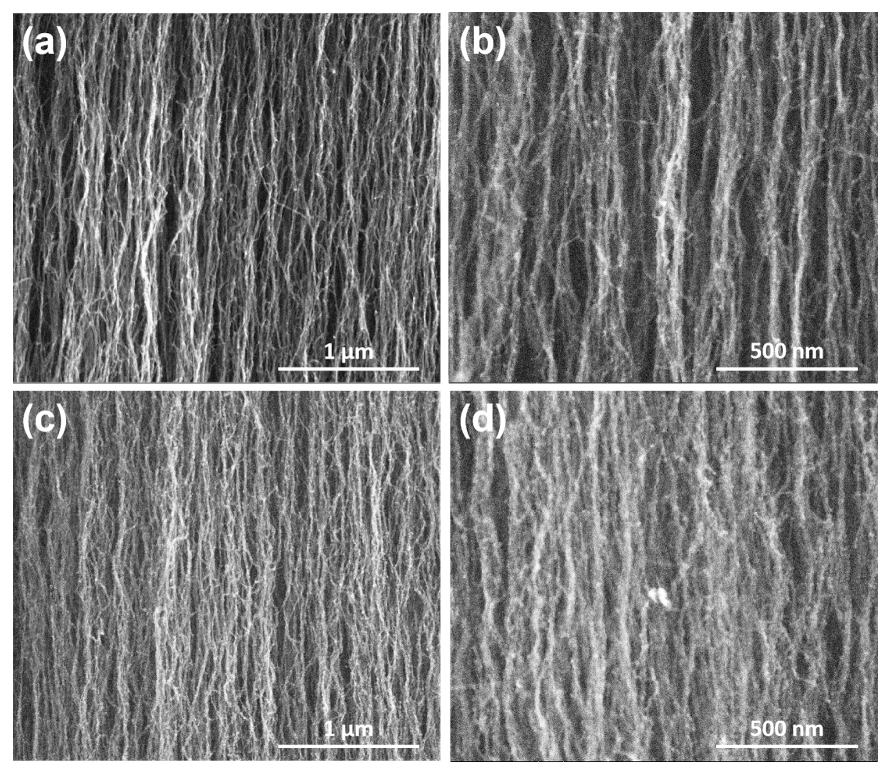 Three-Dimensional Hybrid Nanostructures of Fe3O4 Nanoparticles/Vertically-Aligned Carbon ...