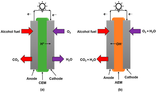 Electrochem | Free Full-Text | Environment-Friendly Ascorbic Acid Fuel Cell