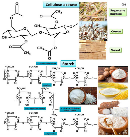Recent Progression and Opportunities of Polysaccharide Assisted Bio ...