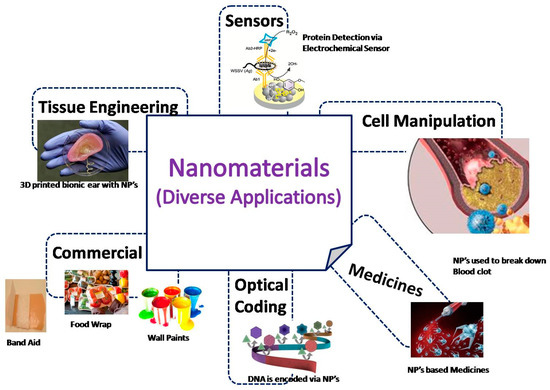 Emerging Trends in Nanomaterial-Based Biomedical Aspects