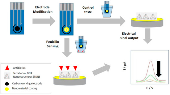Relevant Aspects in the Development of Electrochemical Aptasensors for ...