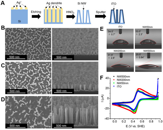 Nanowire Electrode Structures Enhanced Direct Extracellular Electron ...
