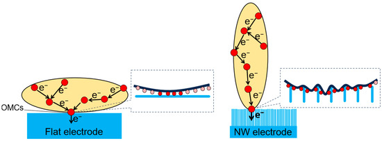 Nanowire Electrode Structures Enhanced Direct Extracellular Electron ...
